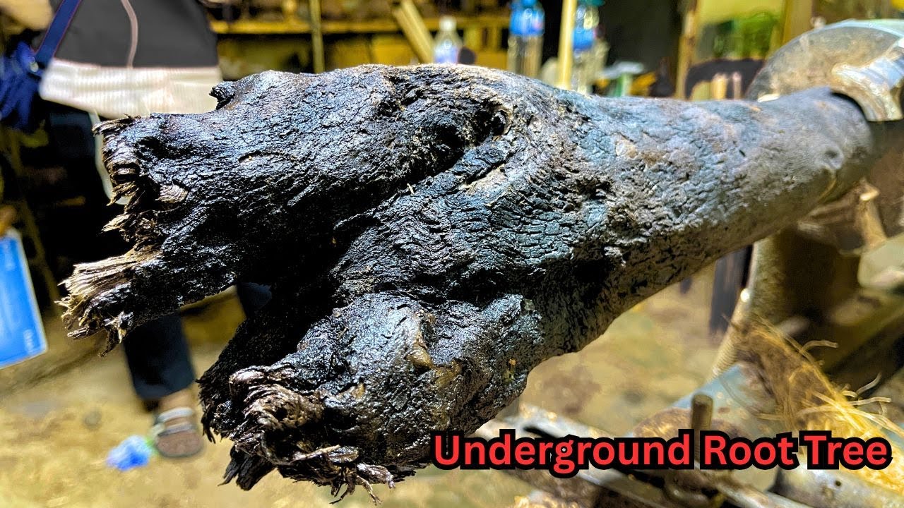 Root Gift Turning Creative Idea #wood #woodturning #woodscraft - YouTube