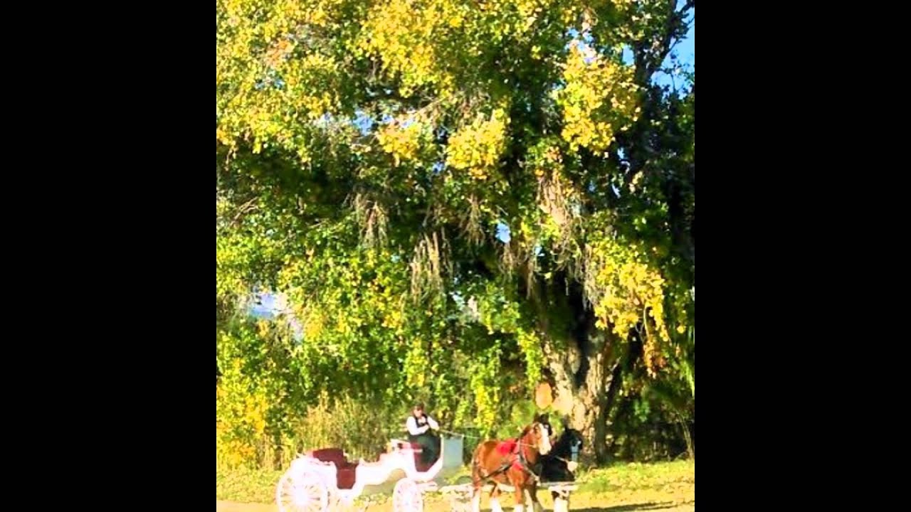 Big Mac @ the Good Shepherd Ranch - YouTube