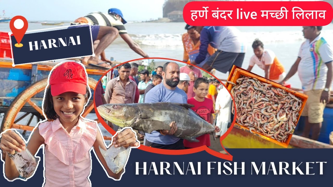 Harnai beach / harne / harne bandar fish market / harnai fish auction ...