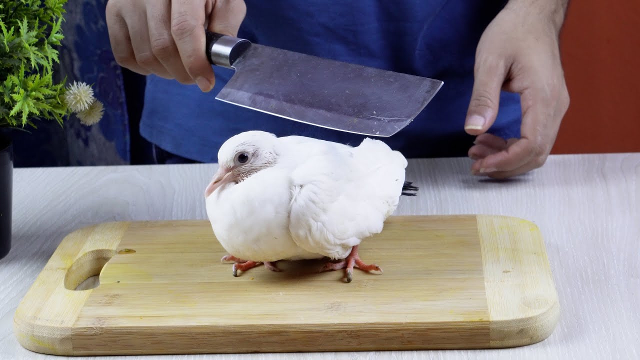 Alive Pigeon Cutting & Cooking I Cooking Delicious Pigeon Dish Cooking ...