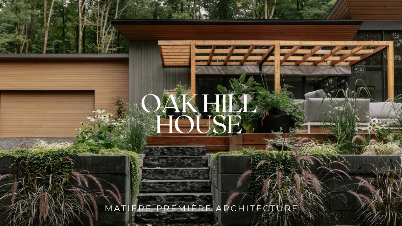 The Single-story Home Forest Between Architecture and Nature - YouTube