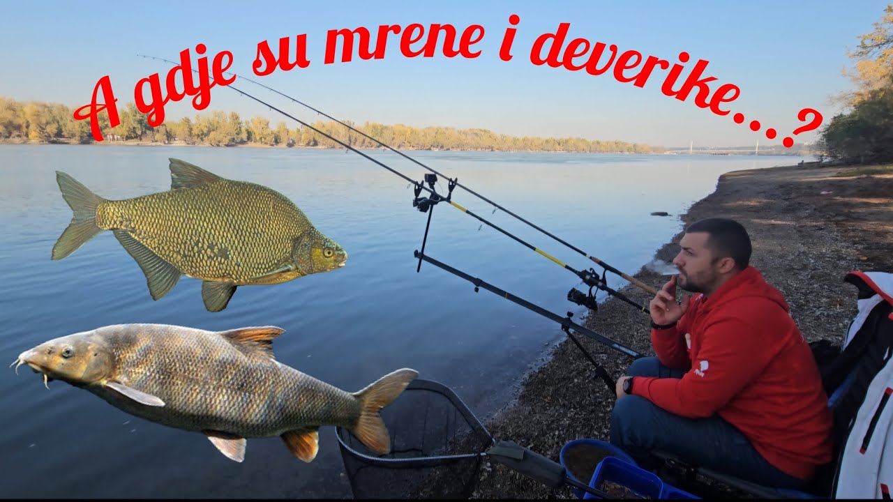 Feeder Ribolov na 💥DUNAVU💥 kod Novog Sada - Ribolov u HLADNOJ vodi 🥶 ...