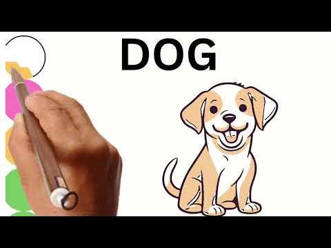 how to draw animals - YouTube