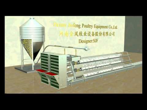 automatic feeding system - YouTube