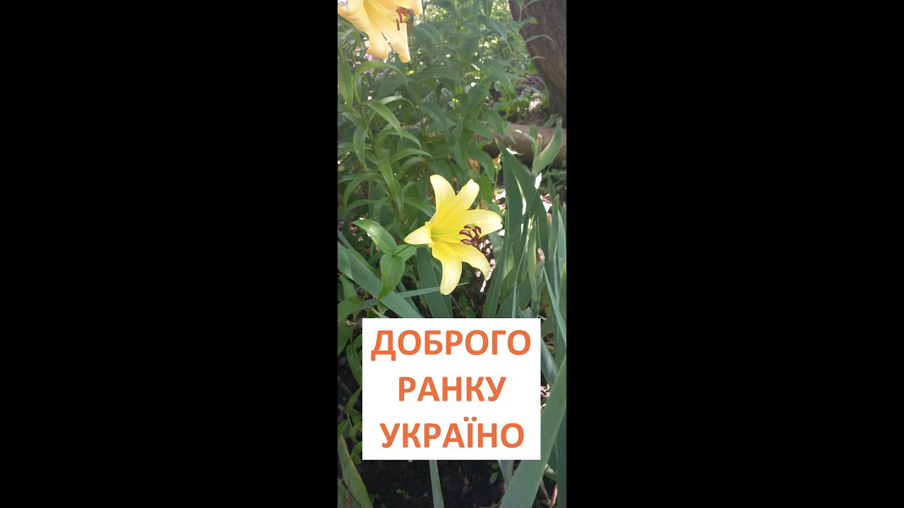 Доброго ранку Україно!!! good morning Ukraine!!! - YouTube
