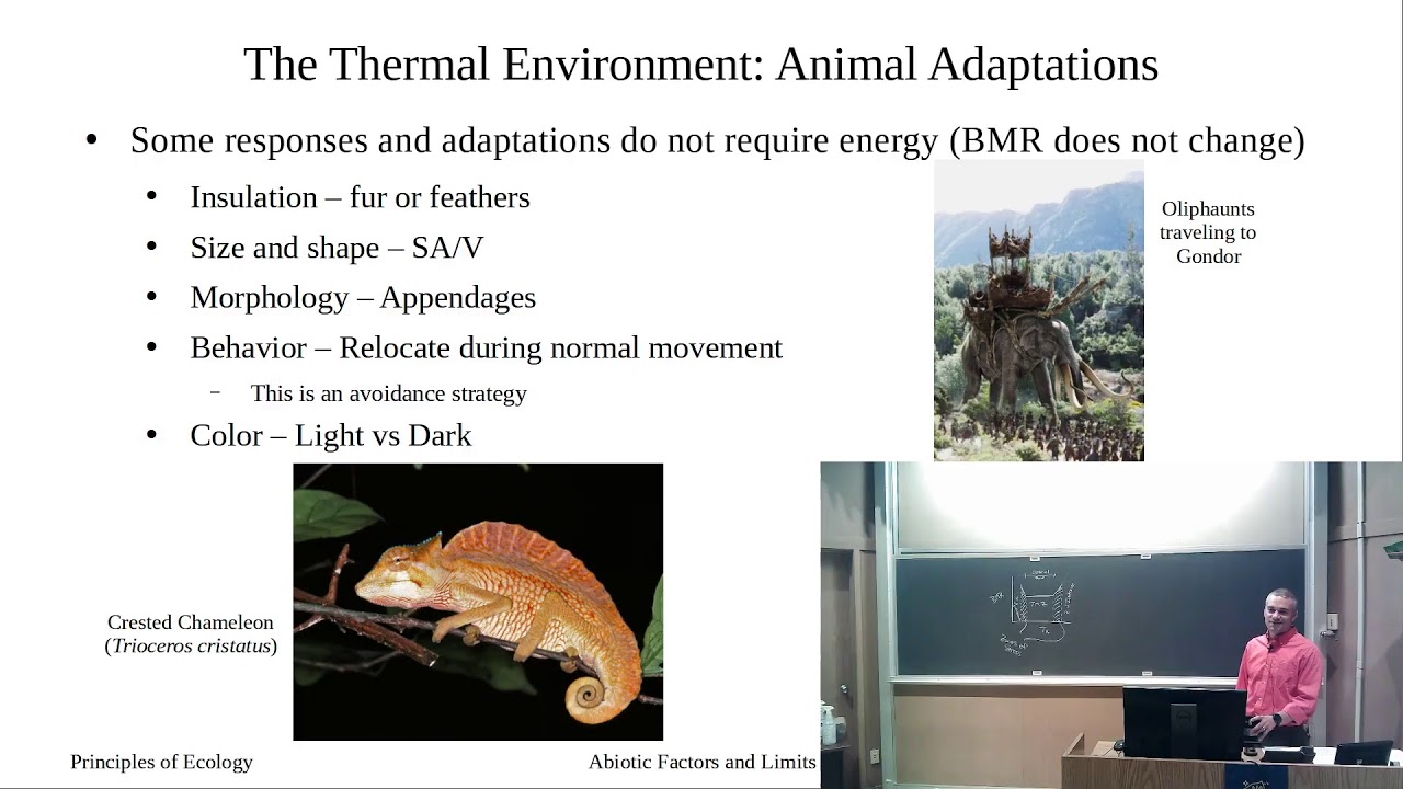 Adaptations to the Thermal Environment: Part II - YouTube