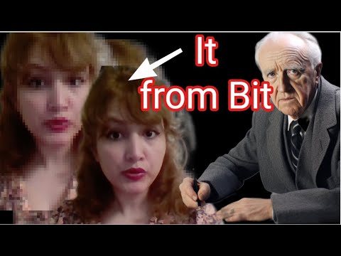 Is Information truly the fundamental building block of reality? "It ...