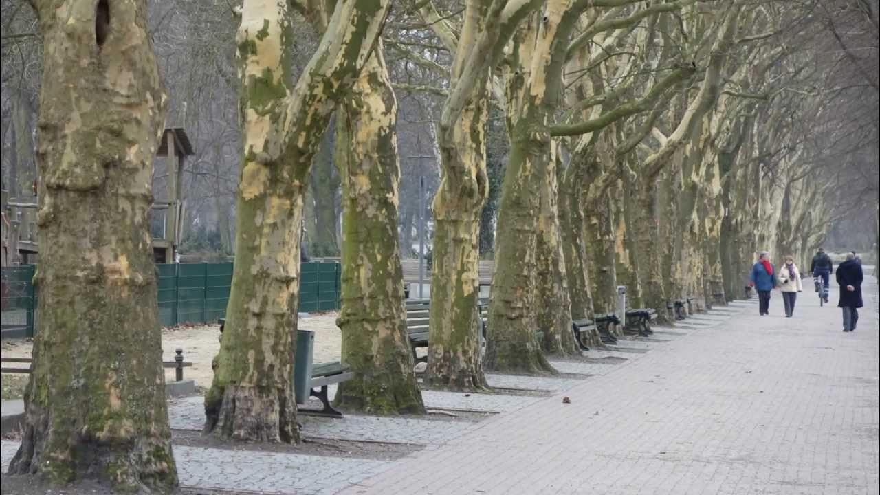 Tegeler See Greenwichpromenade Alt-Tegel Reinickendorf Berlin HD - YouTube