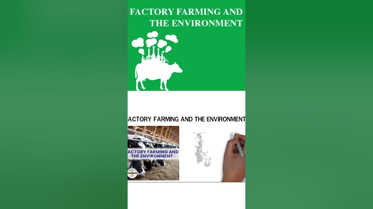 FACTORY FARMING AND THE ENVIRONMENT - YouTube