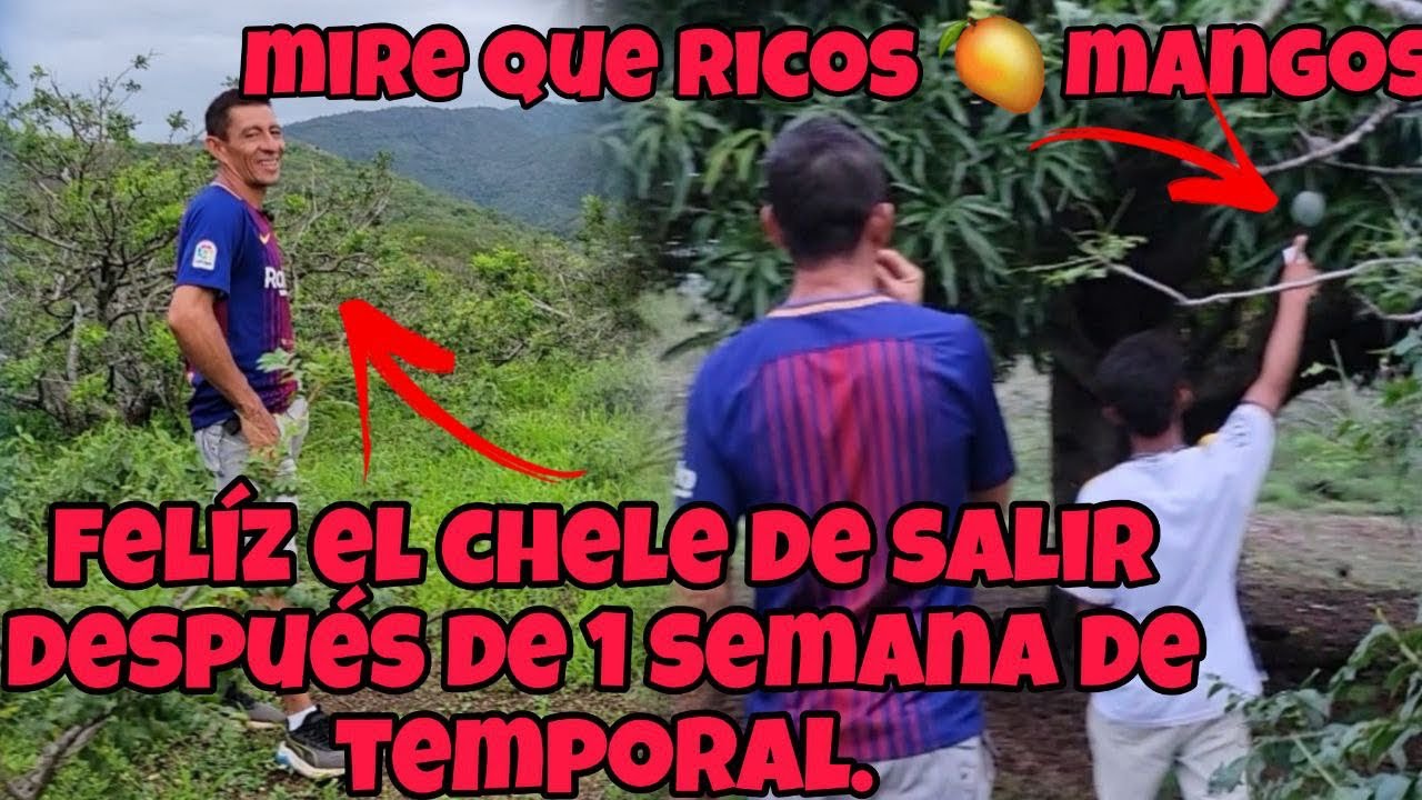 El chele vive a las orillas del río y asta ahora salió de su casa ...