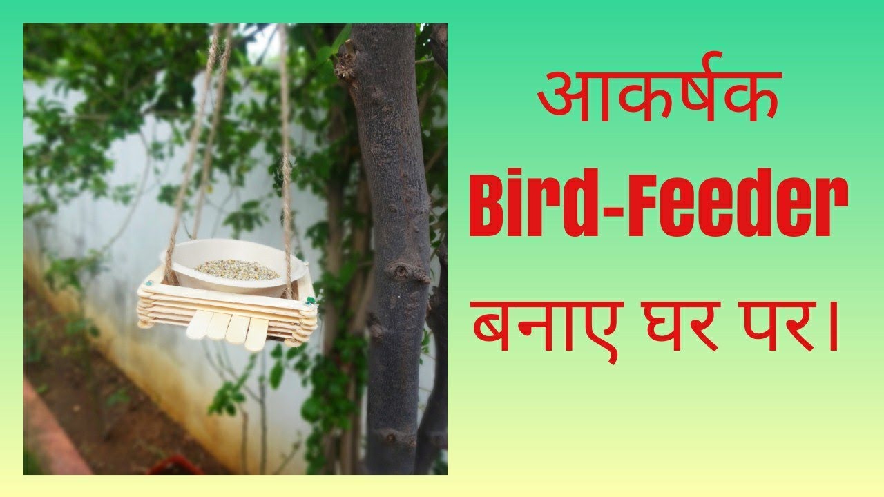 How To Make Bird Feeder Using Popsicles Or Ice Cream Sticks Feeder how-to-make-bird-feeder-using-popsicles-or-ice-cream-sticks-feeder