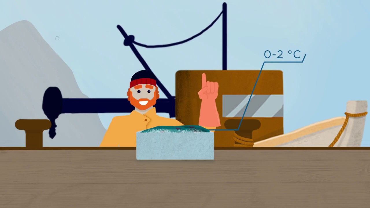 Slik lager du god saltfisk - YouTube