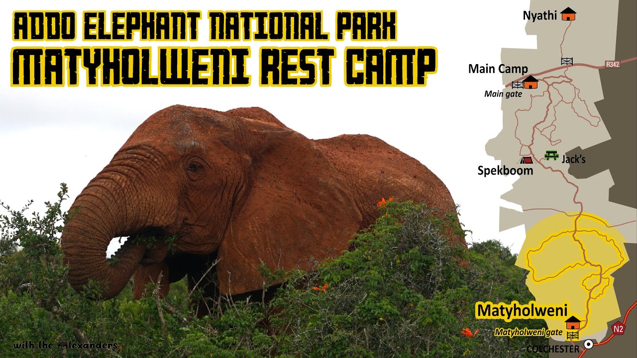 Addo Elephant National Park: Matyholweni Rest Camp - YouTube