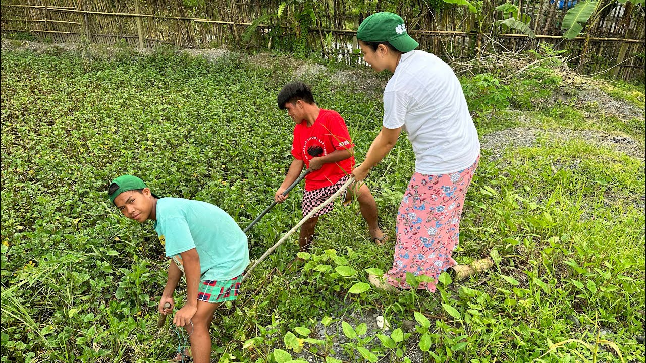 Maglinis tayo ng Fish Pond at Harvest ng mga Gulay | Farm Life ...