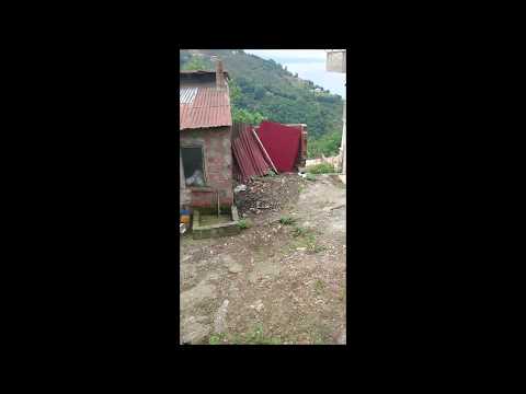 Kedi VS Sansar   ( Cat VS Marten )