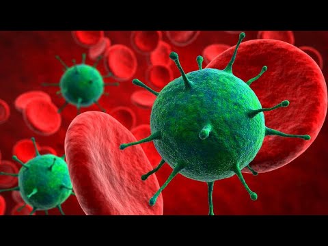 corona virus nasil başladi
