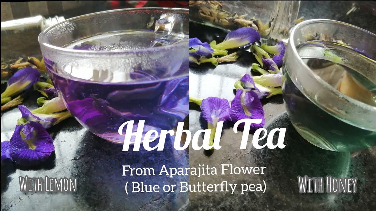 Herbal Tea from Aparajita Flower(Blue or Butterfly pea)in2 ways# ...