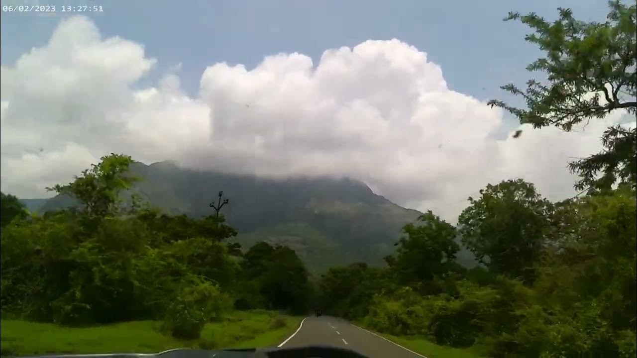 Mudumalai Forest || Mudumalai To Ooty Journey - YouTube