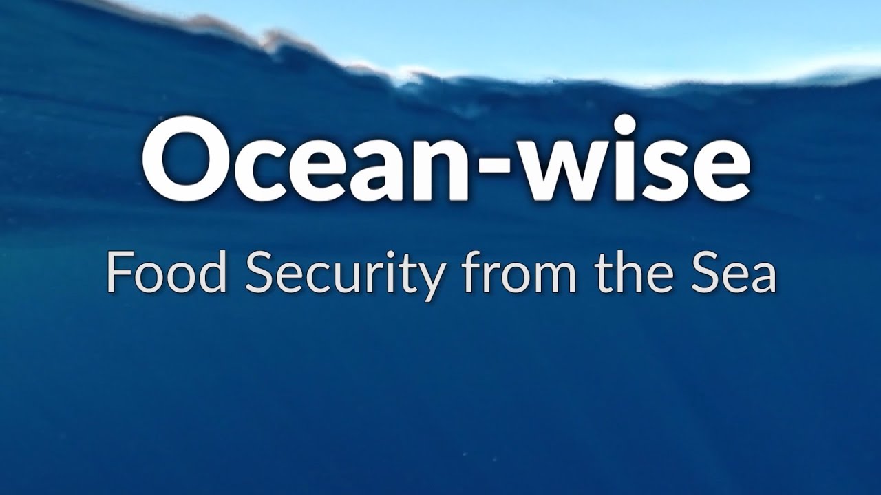 Ocean-wise: Food Security from the Sea - YouTube