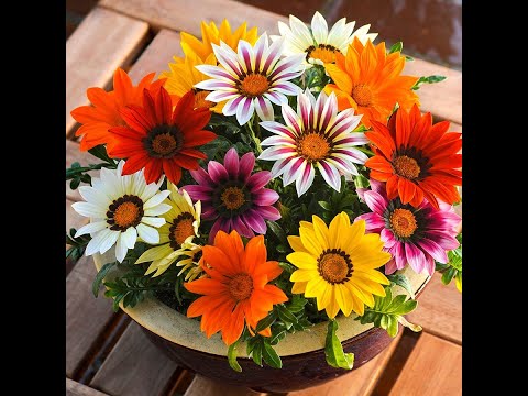 bahçeye çiçek nasıl ekilir