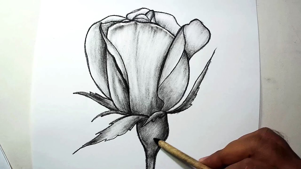 How to Draw A Rose || Drawing & Sketching with Charcoal || VJArts24 ...