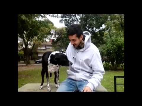 chester the movie - YouTube