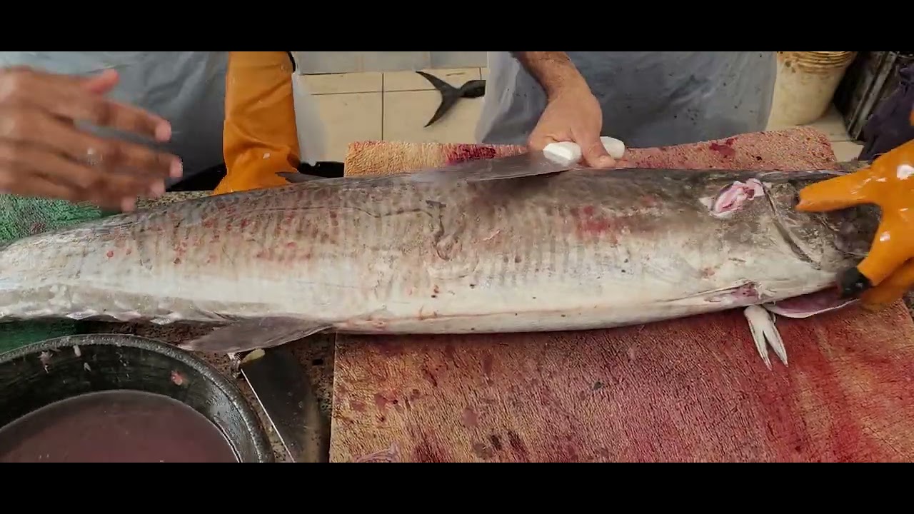 Fish Cut Skills|| Cut Skills|| Amazing Fish Cut Techniques|| Fish Cut ...