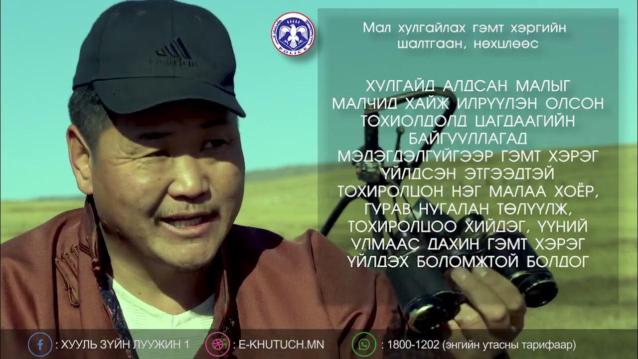 Малын хулгайн гэмт хэрэг Youtube