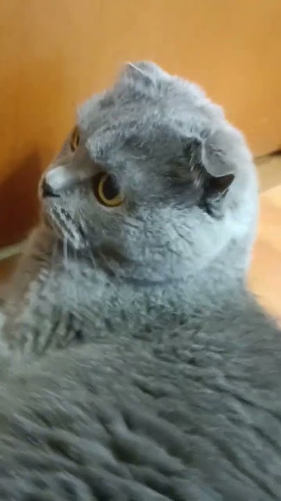 ~Бонька~😍🥰😘 - YouTube