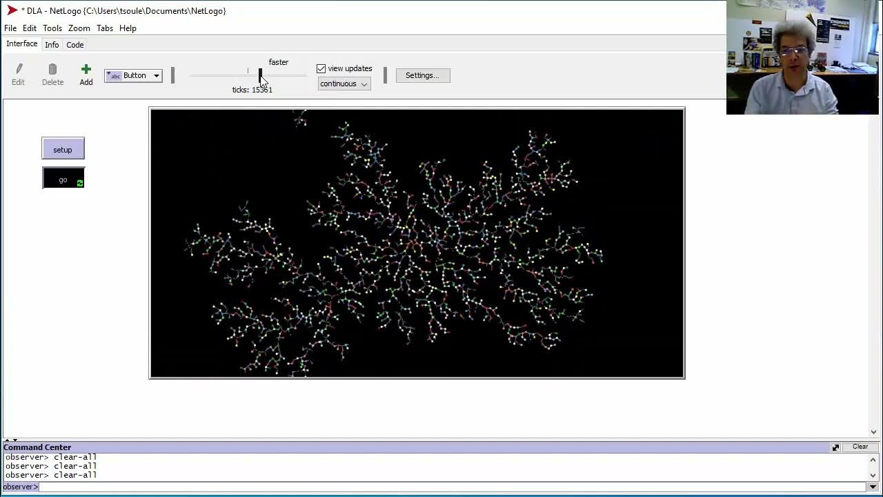 Introduction to the NetLogo Interface - YouTube