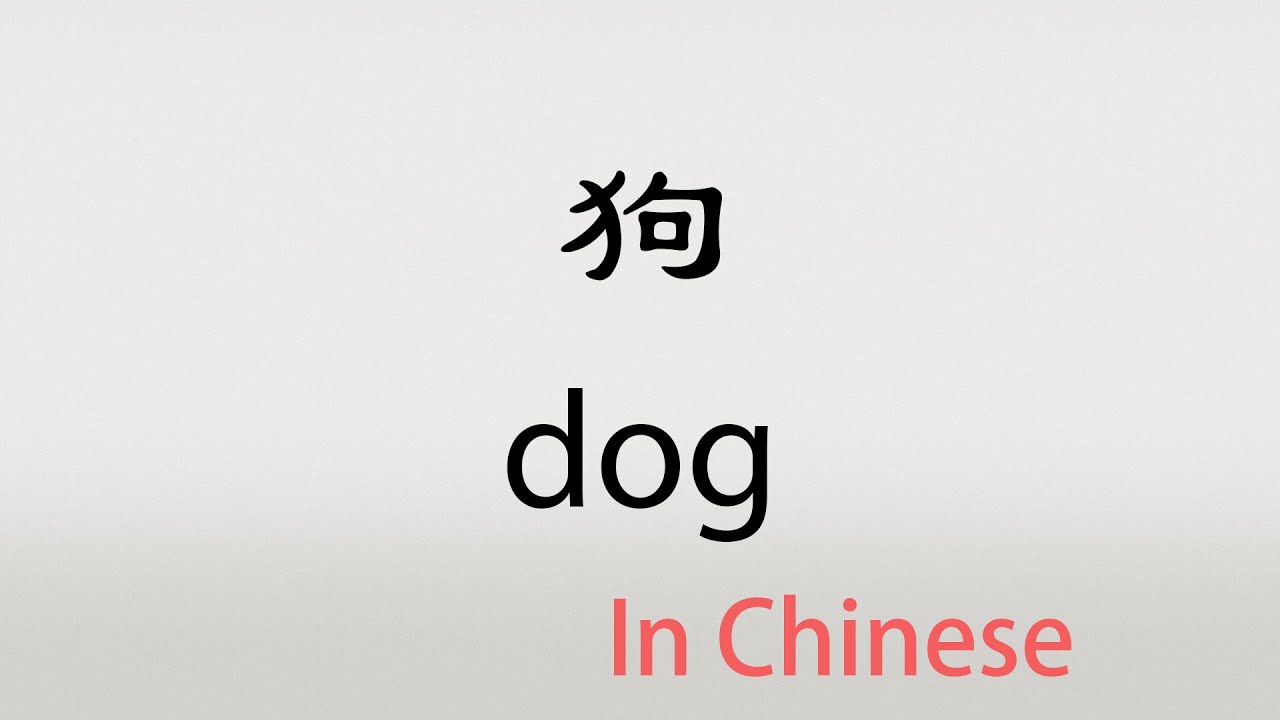 The Chinese word gou - 狗 - gǒu (dog in Chinese) - YouTube