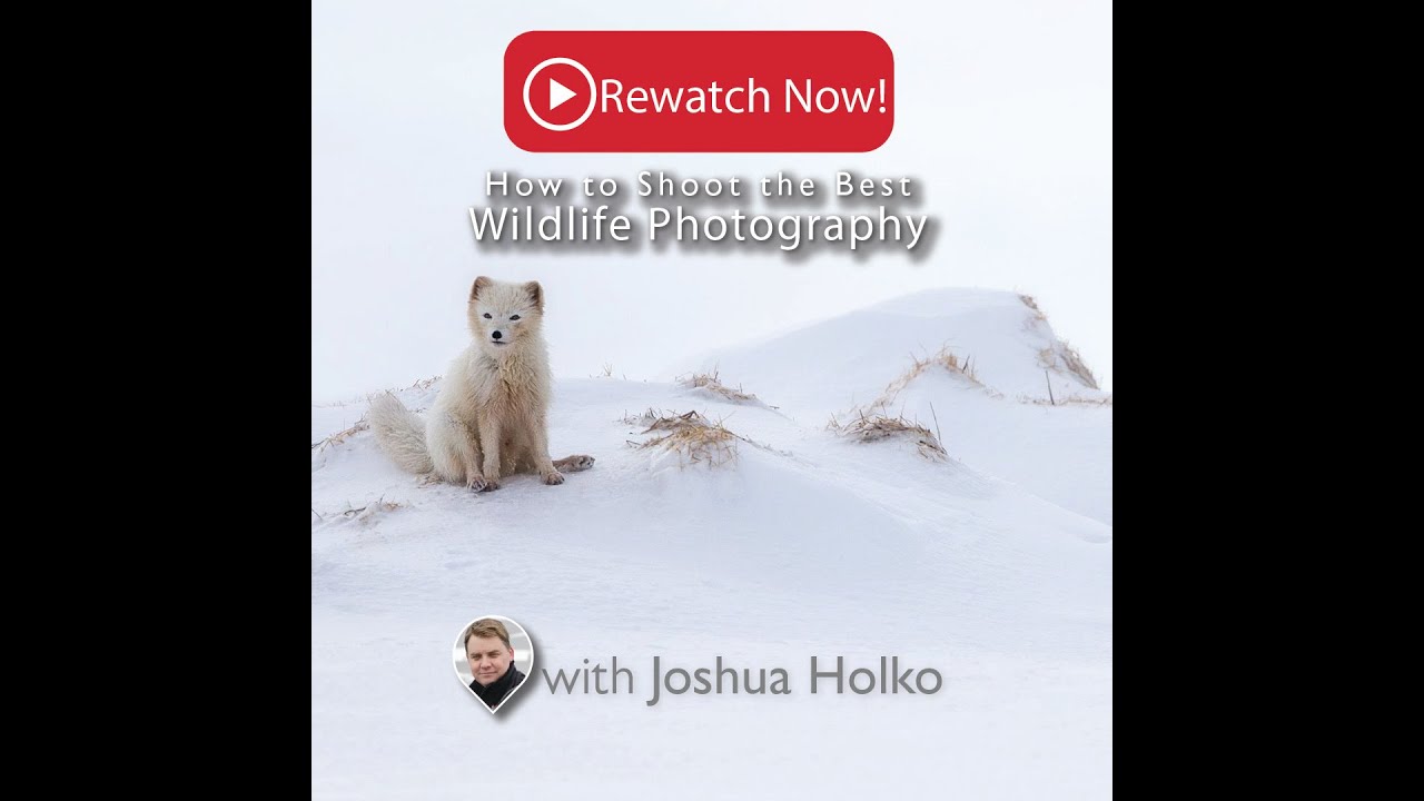 Rewatch WEBINAR | How to Shoot the Best Wildlife Photography with ...