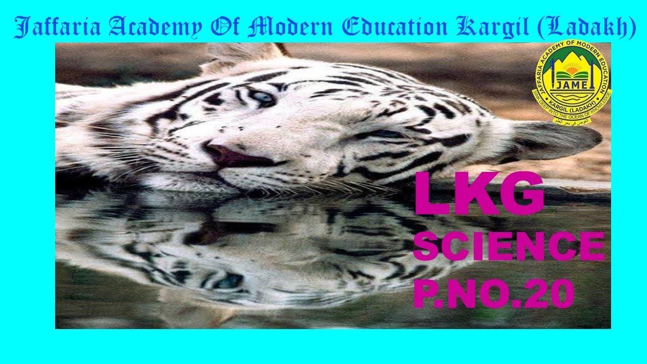 LKG Science P.No.22 - YouTube