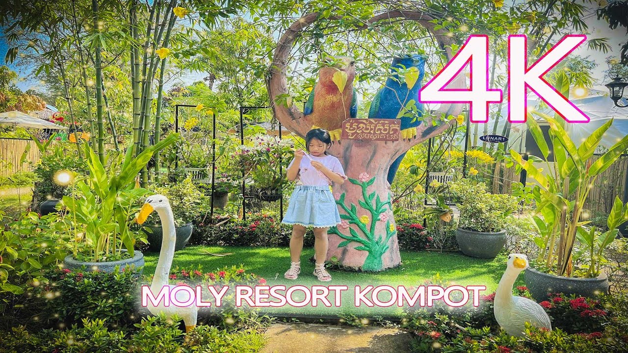 MOLY RESORT KOMPOT - YouTube