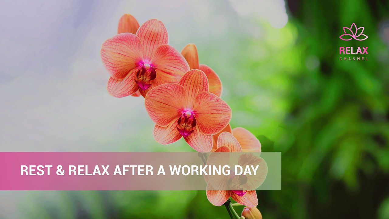 [3 Mins] Rest & Relax after a Working Day | Relaxing Music for Stress ...