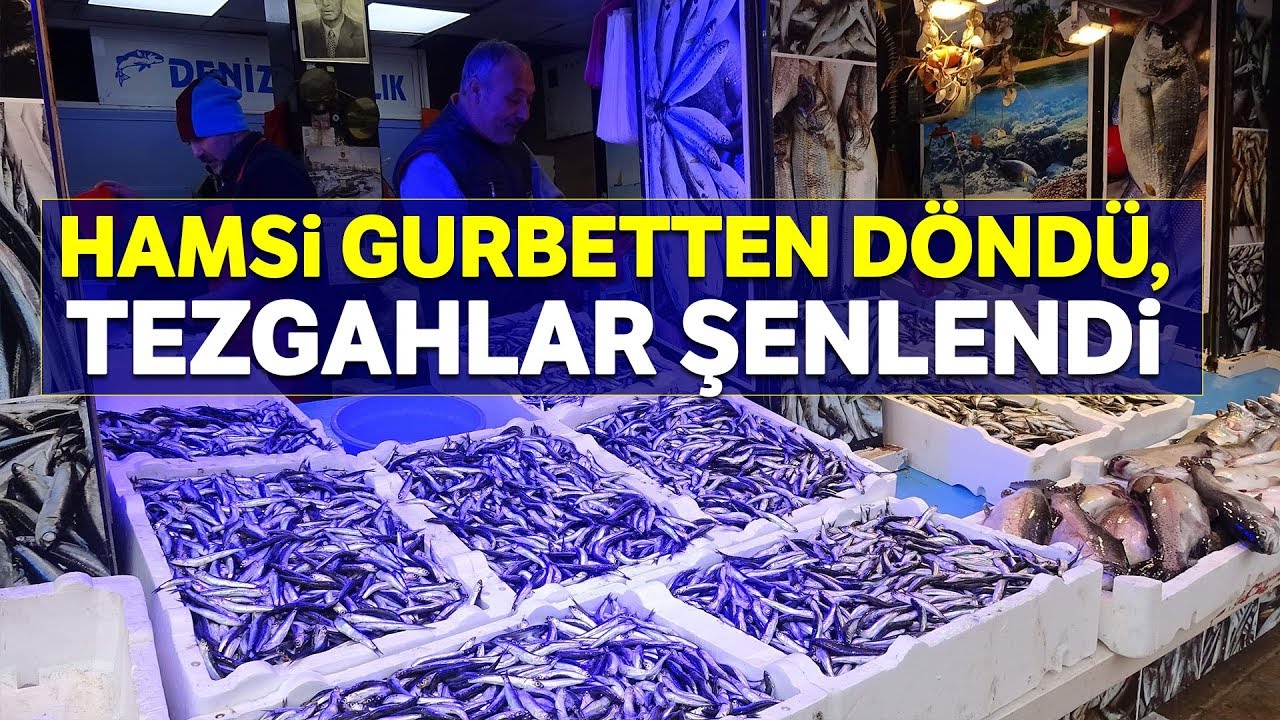 Gürcistan’dan Gelen Hamsi Trabzon'da Tezgahları Şenlendirdi - YouTube