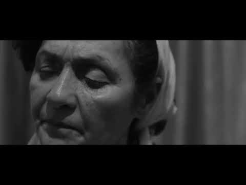 veysi bozyel bu hayat böylemi olur