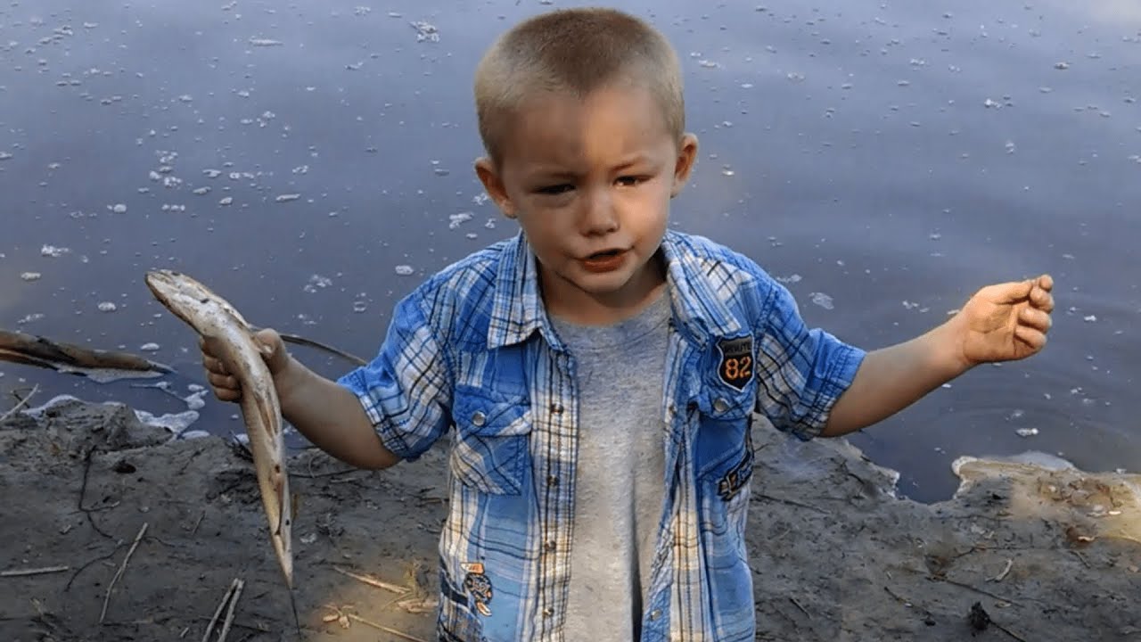 Little Boy Wants to Keep Fish for Himself - YouTube