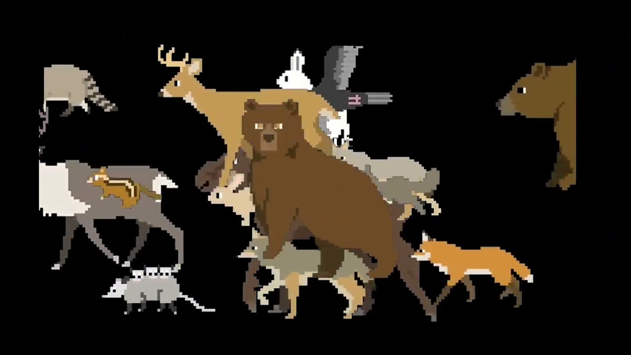 All north hemisphere animals edition- bears, arctic animals, and more ...