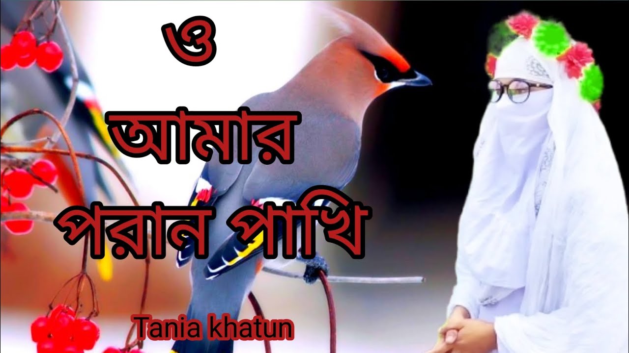 ও আমার পরান পাখি। O Amar Poran Pakhi। Taniya Tasnim । New Islamic Song - YouTube