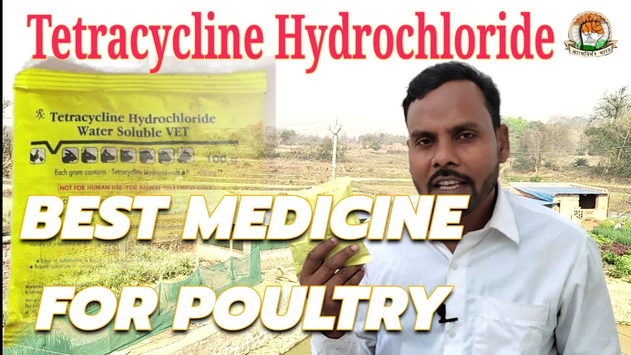 Tetracycline Hydrochloride best for poultry - YouTube