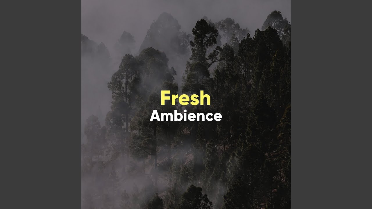 Loopable Echoed Rain - YouTube