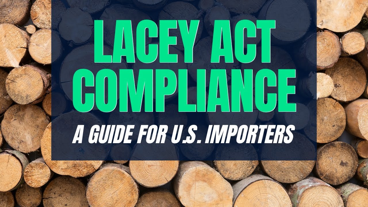 Lacey Act Compliance: 2025 Guide for Importers - YouTube