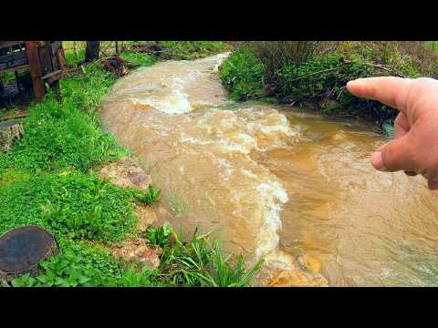 GÜNLERDİR DURMAYAN YAĞMURDAN DERE BU HALE GELDİ