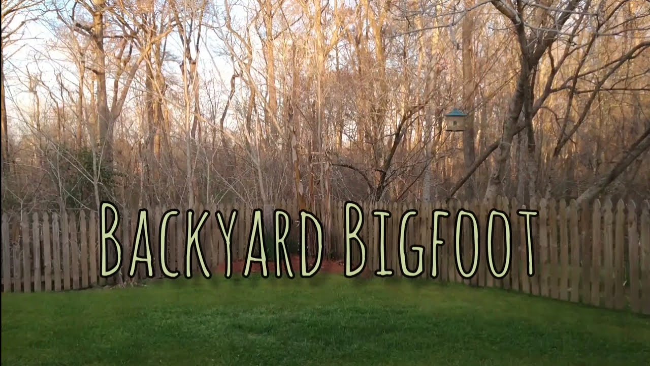 Why Does Bigfoot Knock On Trees ? - YouTube