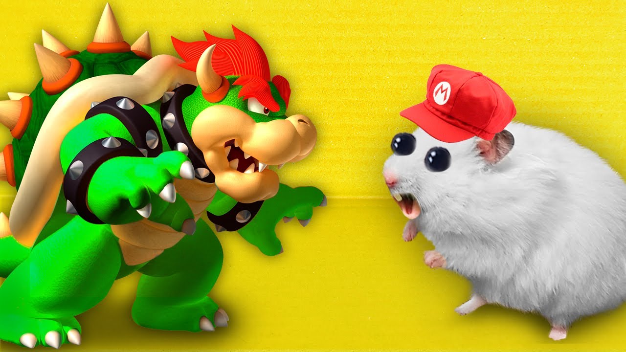 🍄 SUPER MARIO - Hamster Maze with Traps 😱[OBSTACLE COURSE] Game - YouTube