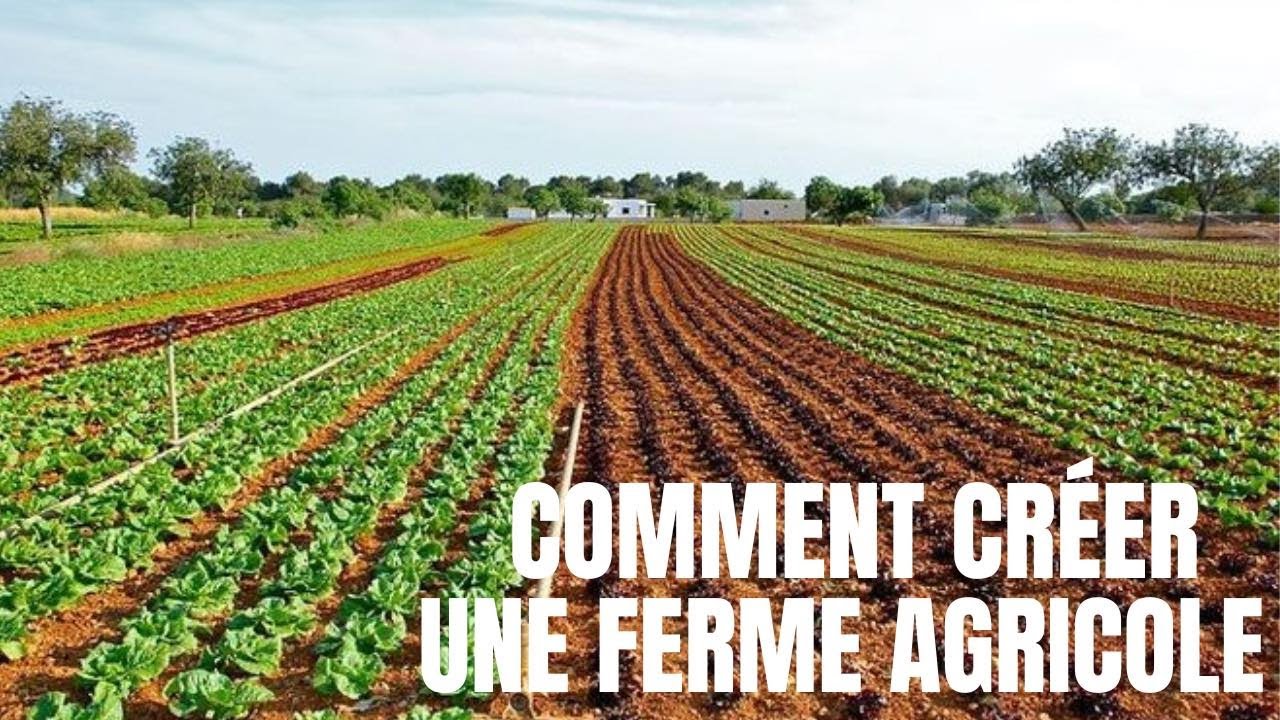 Comment créer une ferme agricole avec succès - YouTube