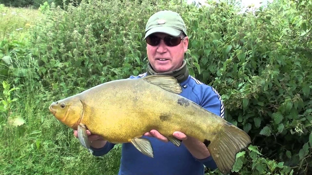 Pete's fish 7lbs 10oz - YouTube