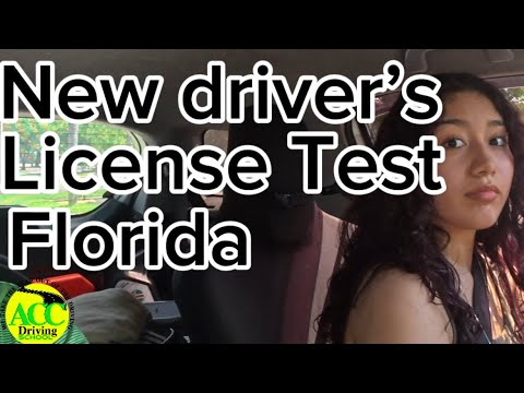 NEW Florida Driver’s Licenses test - YouTube