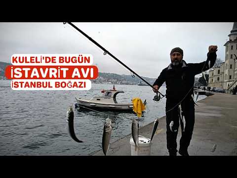 Kuleli Sahilinde Sabah Suyu. Çapariyle Dolu Dolu! İstavrit Avı! Balık Çobanı